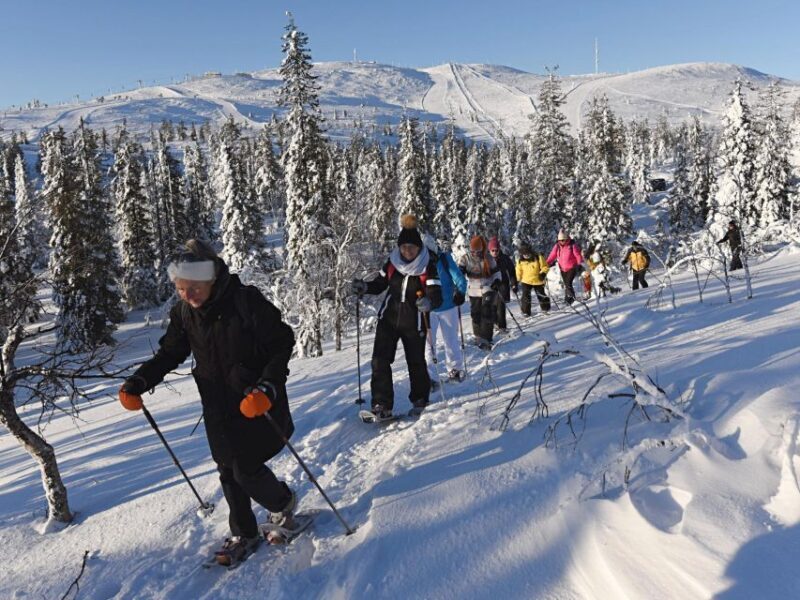 Lapland Levi: Panoramic snowshoeing - Practical Details and Considerations