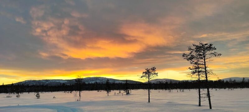Lapland: Private Snowmobile Safari with arctic Local Guide - Key Points