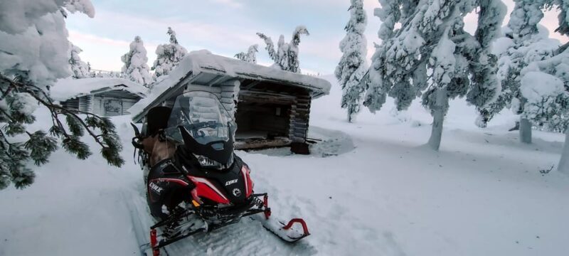 Lapland: Private Snowmobile Safari with arctic Local Guide - Exploring the Snowy Wilderness: A Deep Dive into the Tour