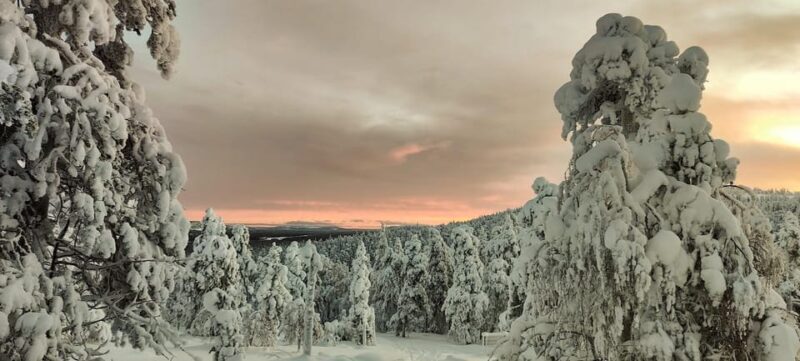 Lapland: Private Snowmobile Safari with arctic Local Guide - Final Words: Who Will Love This Tour?