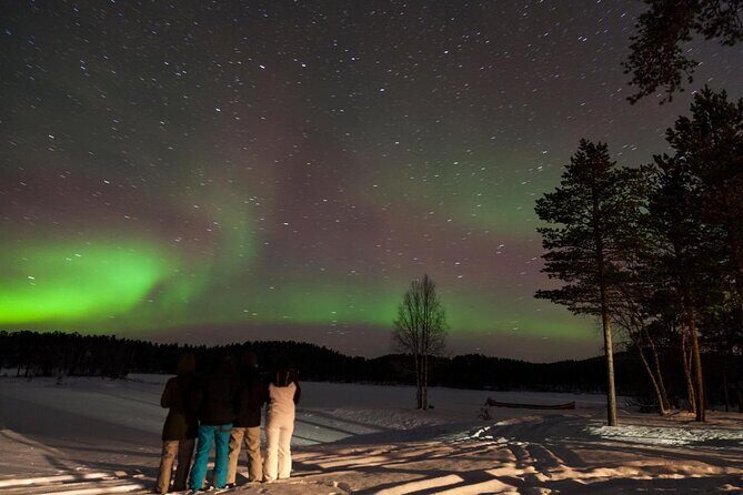 Lapland Reindeer Safari From Saariselkä - An In-Depth Look at the Lapland Reindeer Safari