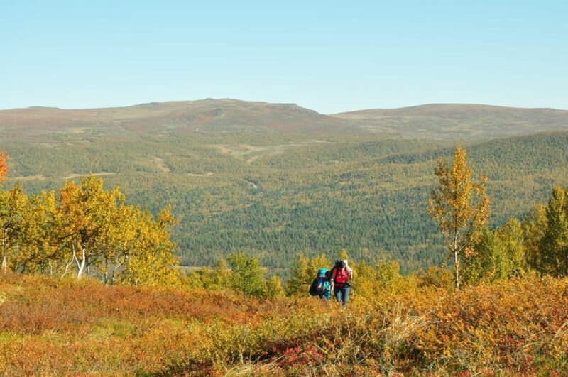 Lapland: Three day trekking in the Swedish Highlands - Final Thoughts: Who Should Consider This Tour?