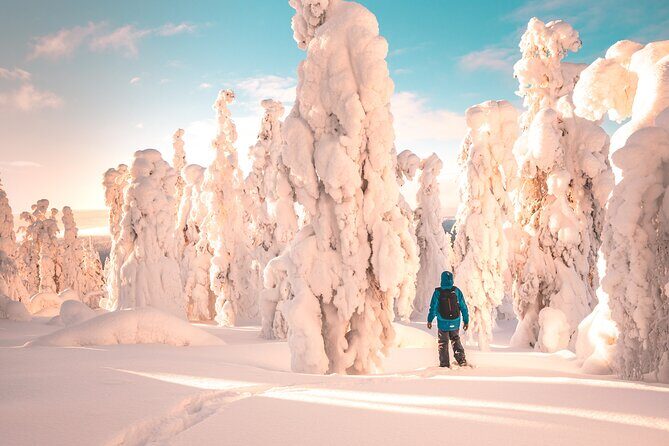 Lapland Winter Experience - Exploring the Lapland Winter Experience: A Genuine Arctic Adventure