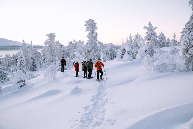Lapland Winter Experience - Key Points