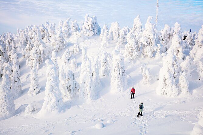 Lapland Winter Experience - Who Is This Tour Best For?
