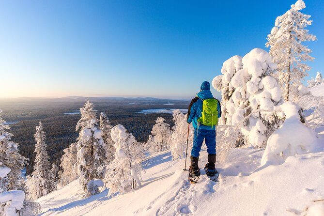 Lapland Winter Experience - The Sum Up: Why You Should Consider This Tour
