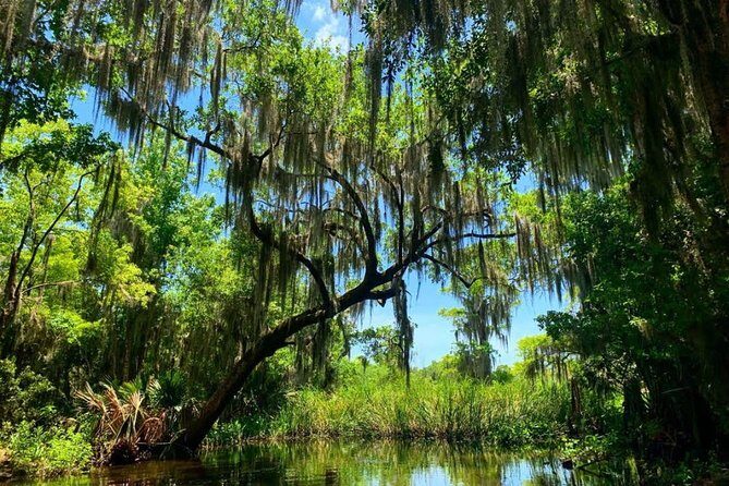 Large Airboat Swamp Tour with Transportation from New Orleans - The Thrilling Ride