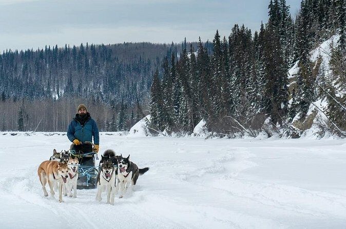 Large Groups for Mushing Activity - Photo Opportunities and Dog Interactions