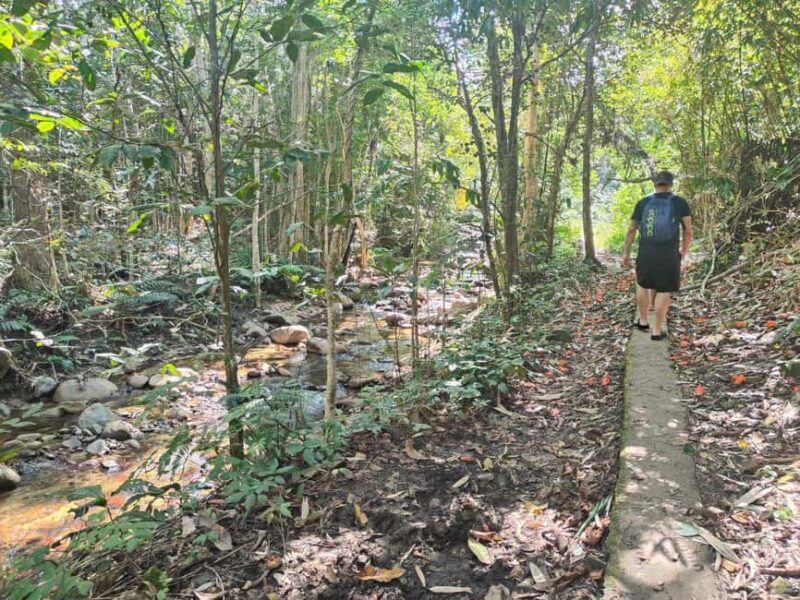 Largest zipline/Cave & Biausevu waterfall Discovery tour - Introduction: What’s this tour all about?