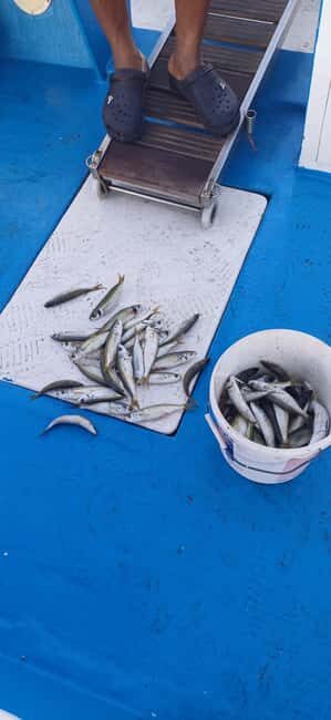 Larnaca: Private Fishing - Traditional Explorer N Vessel - Introduction