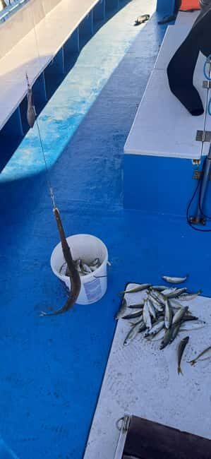 Larnaca: Private Fishing - Traditional Explorer N Vessel - Detailed Breakdown of the Itinerary