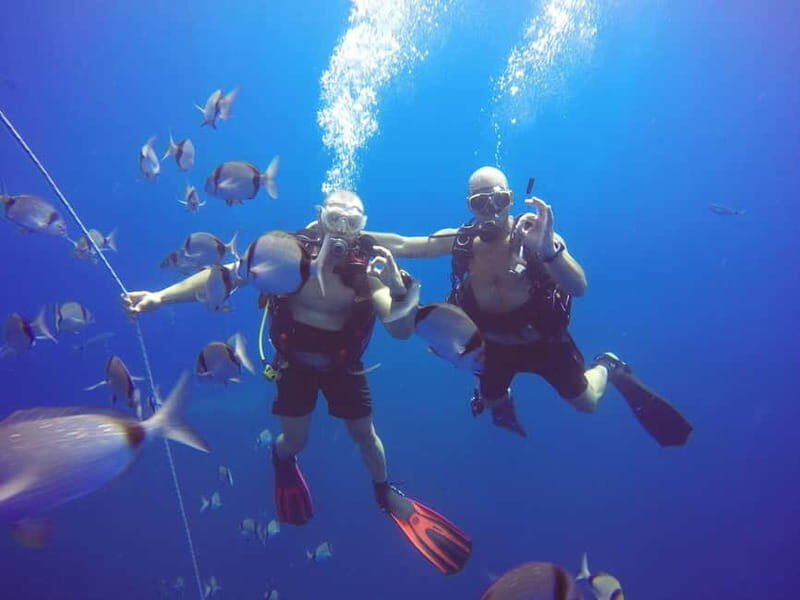 Larnaca: Private Zenobia Beginners Divers - The Value of This Experience