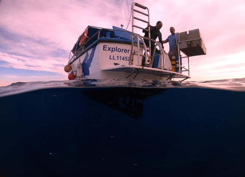 Larnaca: Snorkelling Zenobia Wreck Plus Mini Cruise - The Sum Up