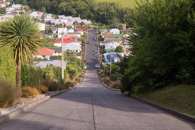 Larnach Castle & Dunedin City Highlights Tour - Engaging Introduction