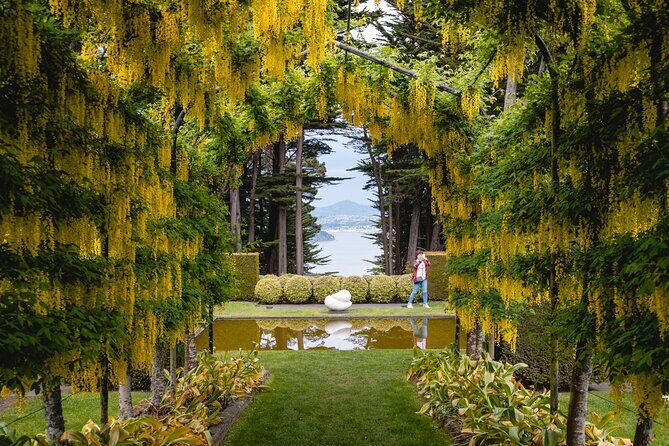 Larnach Castle & Otago Wildlife Cruise from Dunedin - The Sum Up: Who Should Consider This Tour?