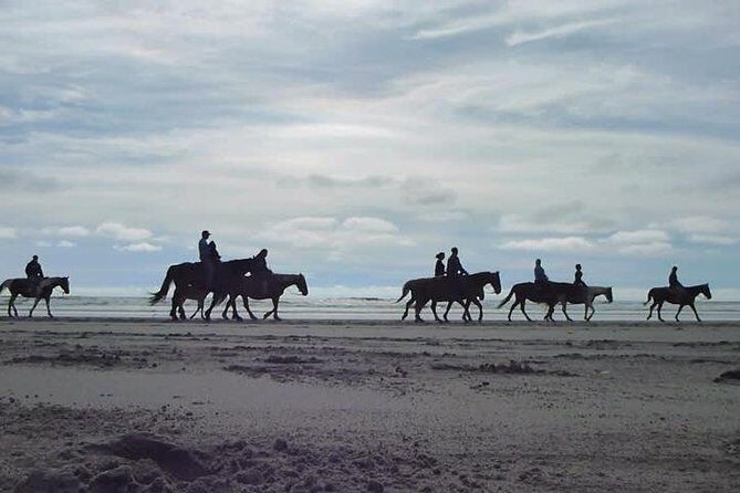 Las cañadas ecopark and horseback riding private tour - An Introduction to Ensenadas Private Adventure