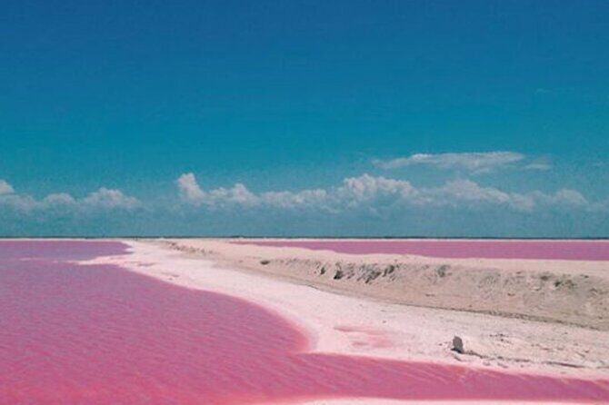 Las Coloradas Amazing Pink Lake & Rio Lagartos from Tulum - Authentic Experiences and Traveler Feedback