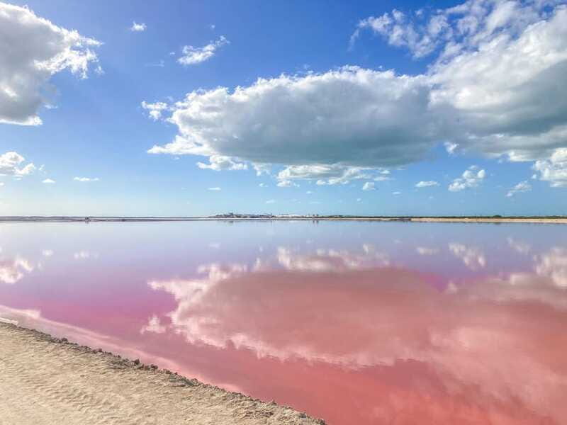 Las Coloradas and Ría Lagartos - The Practicalities: What You Need to Know
