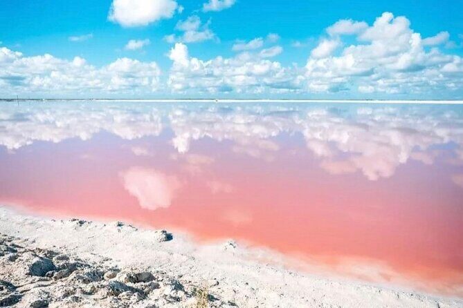 Las Coloradas and Rio Lagartos Day Tour from Cancun - Starting Early for a Big Day