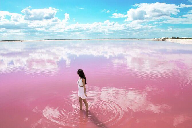Las Coloradas and Rio Lagartos only from Merida - Final Thoughts