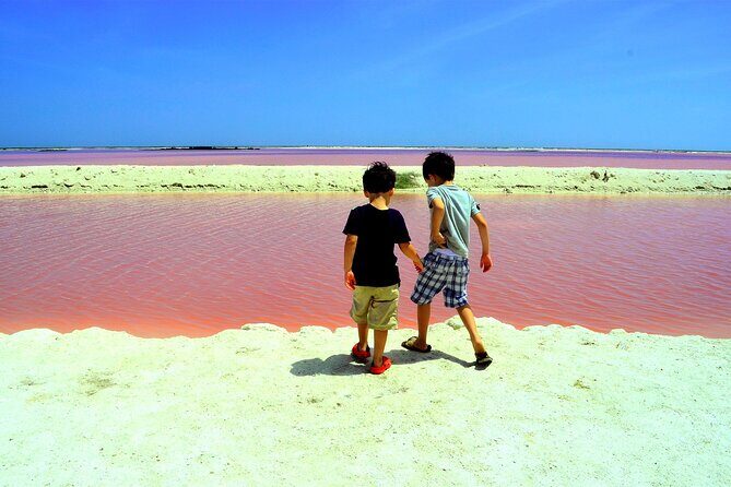 Las Coloradas and Rio Lagartos Tour with All Inclusive - A Deep Dive into the Experience
