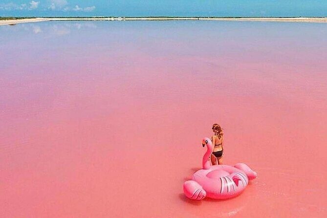 Las Coloradas and Rio Lagartos Tour with All Inclusive - What Travelers Are Saying: Authentic Perspectives