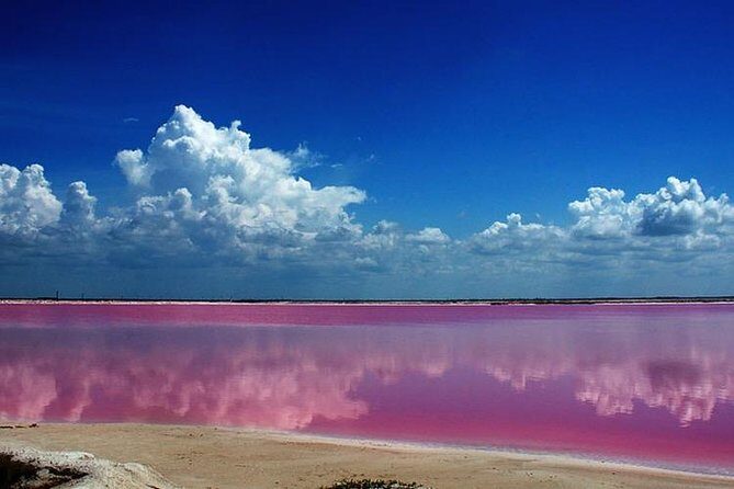 Las Coloradas and Rio Lizards private tour from Valladolid - Who This Tour Is Best For