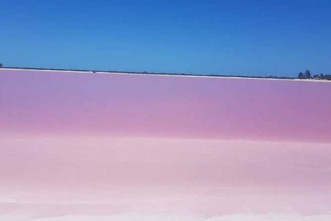 Las Coloradas - The Sum Up
