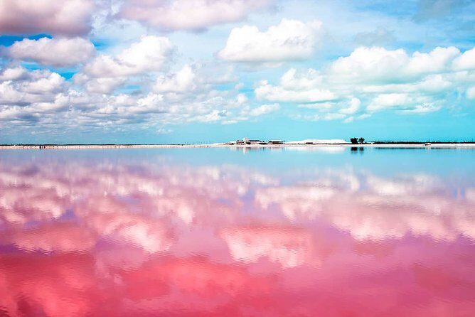 Las Coloradas Exploring Tour - Exploring the Colorful Lagoons of Las Coloradas – A Practical Review