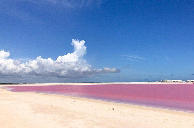 Las Coloradas Exploring Tour - Transportation & Group Size