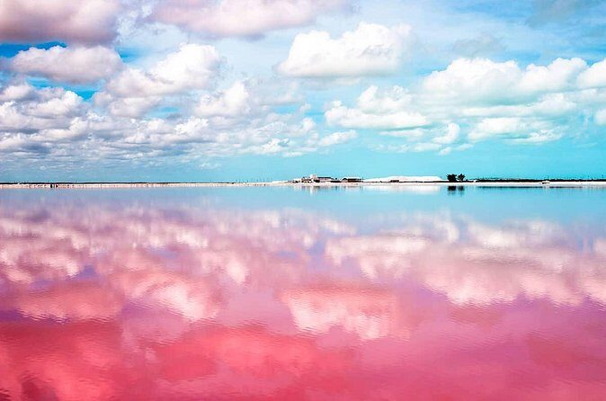 Las Coloradas Exploring Tour - Price and Value
