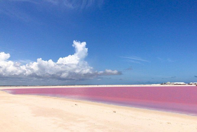 Las Coloradas Exploring Tour - Who Is This Tour Best For?