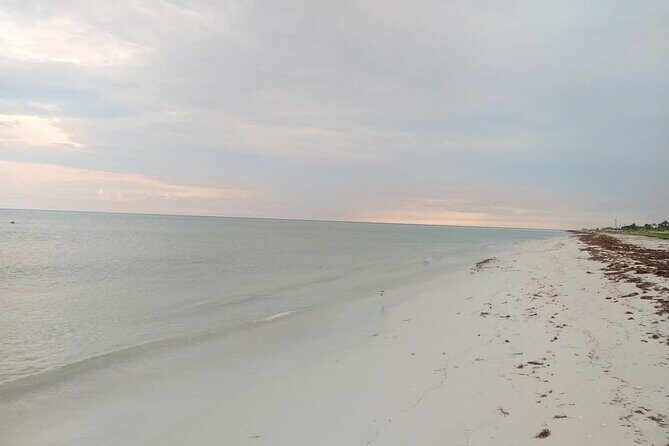 Las Coloradas Pink Lakes & Río Lagartos Boat Experience - Final Thoughts: Is It Worth It?