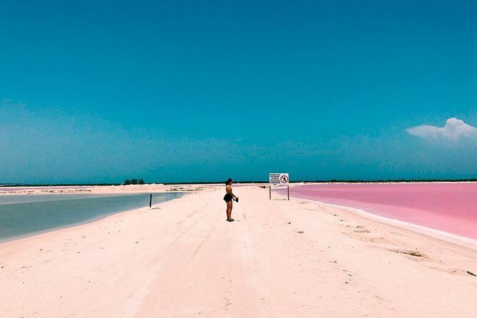 Las Coloradas & Rio Lagartos, Beautiful Eco Adventure from Tulum City - Exploring the Itinerary: What Makes Each Stop Special