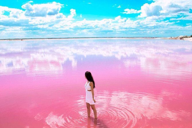 Las Coloradas & Rio Lagartos, Beautiful Eco Adventure from Tulum City - Cost and Value Analysis