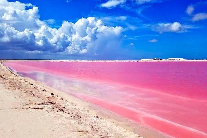 Las Coloradas & Rio Lagartos, Beautiful Eco Adventure from Tulum City - FAQs