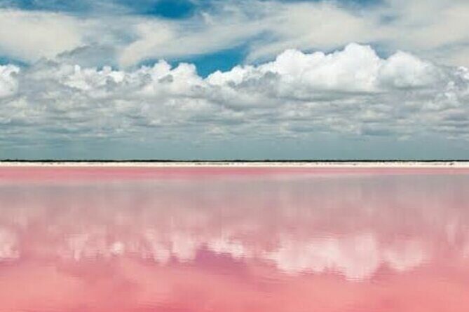 Las Coloradas & Río Lagartos with boat & Lunch from Mérida - Introduction