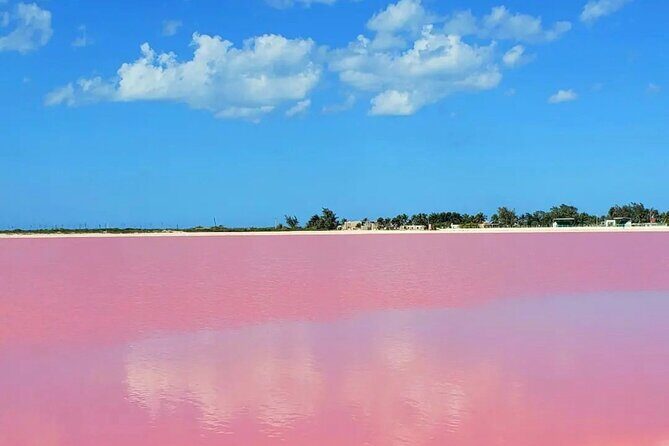 Las Coloradas & Río Lagartos with boat & Lunch from Mérida - Key Points