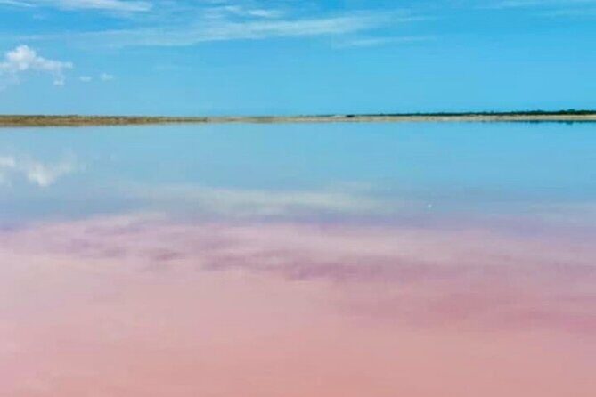 Las Coloradas & Río Lagartos with boat & Lunch from Mérida - Real Experiences & Insights from Travelers