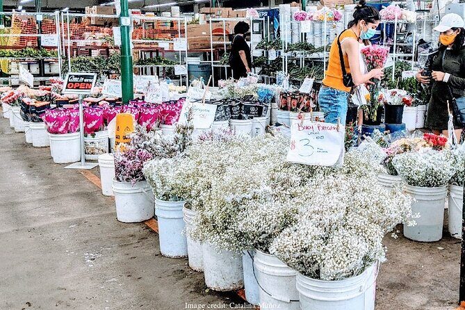 LAs Fashion & Flower District: Private Half-Day Walking Tour - Key Points