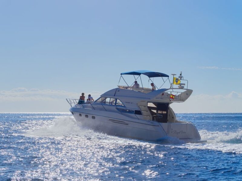Las Galletas: Private Luxury Yacht Cruise with Lunch - FAQs