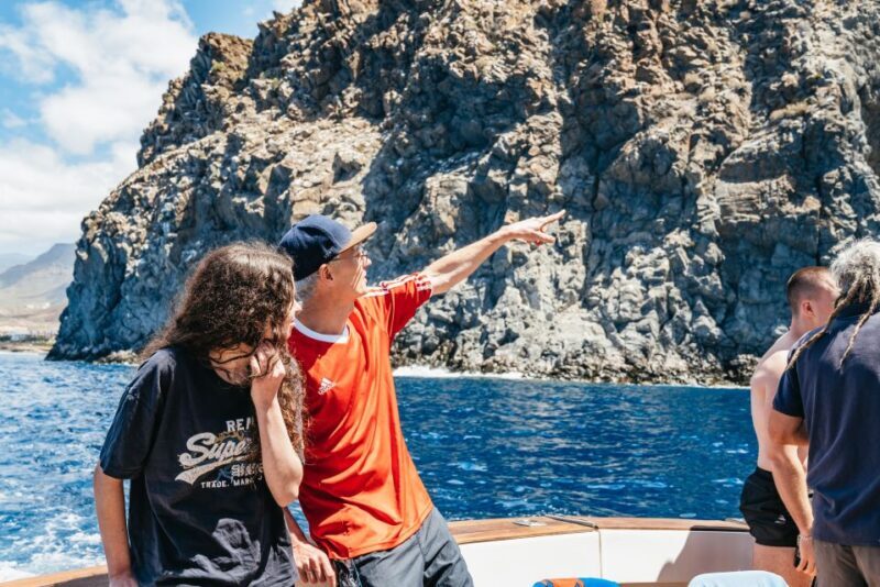 Las Galletas: Whale & Dolphin Tour with Local Skipper - Key Points