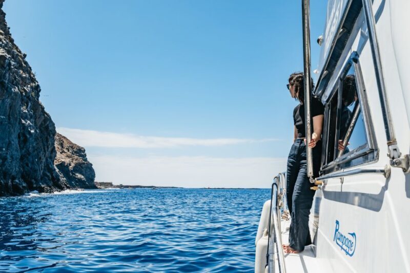 Las Galletas: Whale & Dolphin Tour with Local Skipper - Return and Coastal Views
