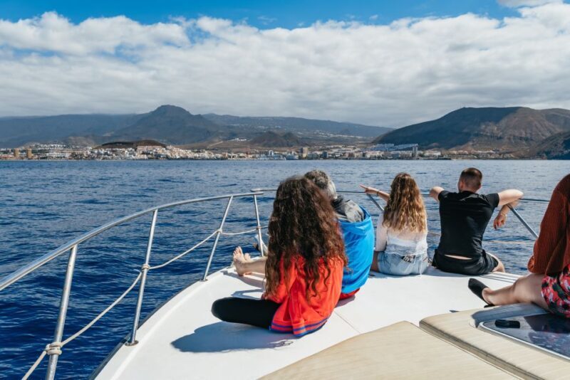 Las Galletas: Whale & Dolphin Tour with Local Skipper - Who Should Consider This Tour?
