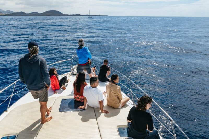 Las Galletas: Whale & Dolphin Tour with Local Skipper - FAQ