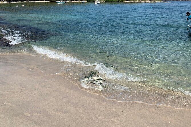 Las Gatas Kayaking and Snorkeling Tour - FAQ