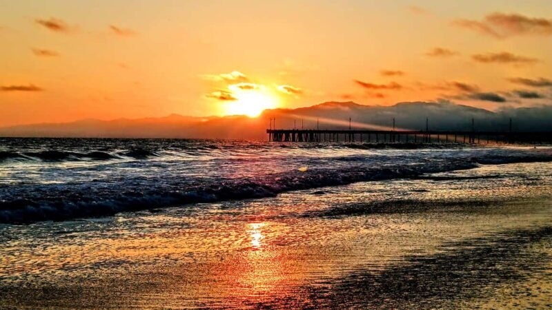 LA's Most Romantic Luxury Wine & Dine Boat Cruise & Sealions - Wildlife Viewing and Photography