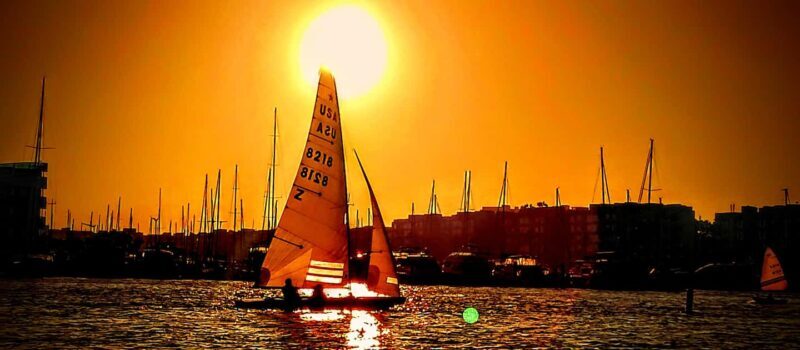 LA's Most Romantic Luxury Wine & Dine Boat Cruise & Sealions - Wine, Dine, and Relax
