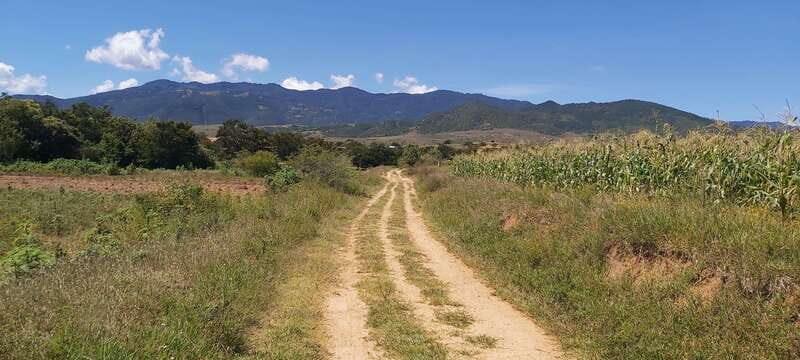 Las Nieves Monte Albán, Arrazola, Cuilapam 6h Bike Tour - FAQ
