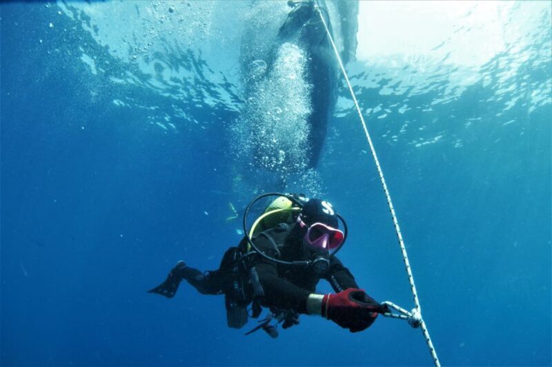 Las Palmas: 2-Day Padi Scuba Diving Course - An Honest Look at the 2-Day PADI Course